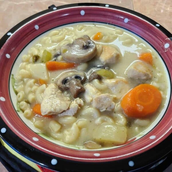 Easy Chicken Noodle Soup – Czech-Mex Kitchen